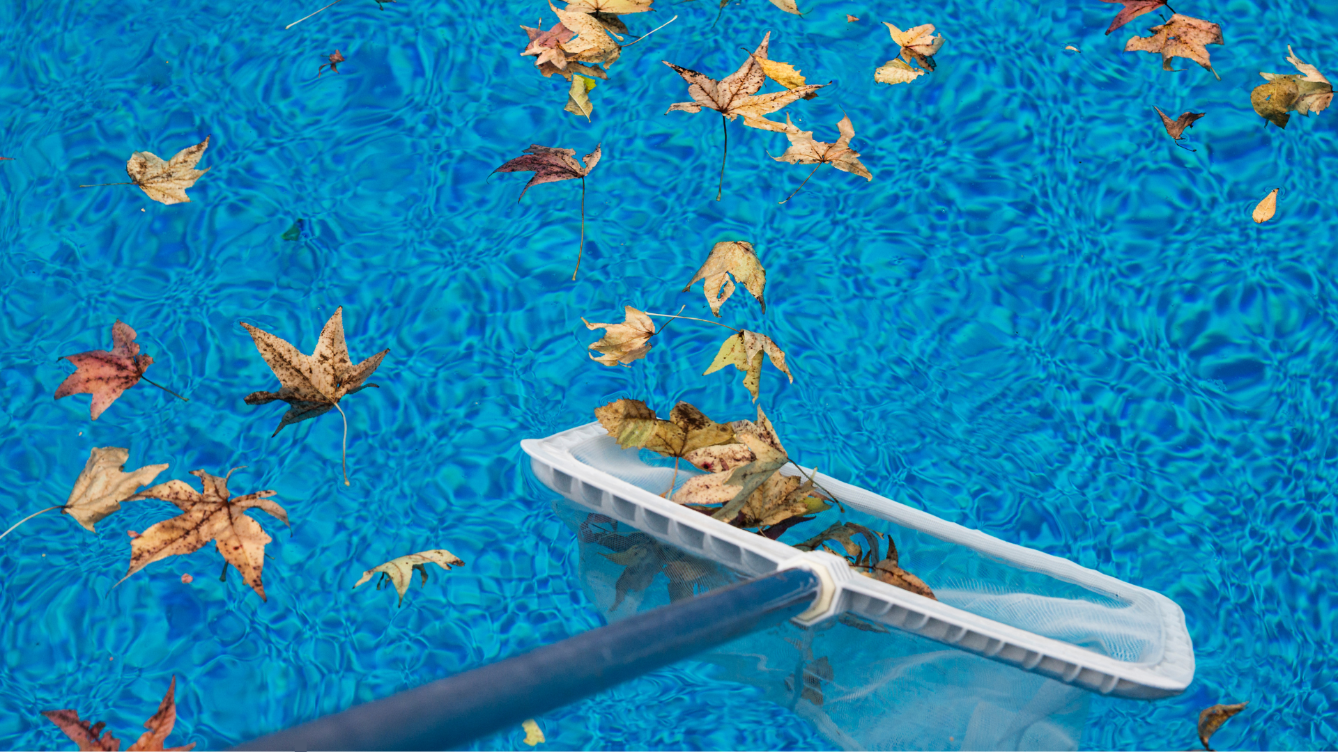 Pool Closing Tips for a Clear Pool Opening! - Aqua-tech